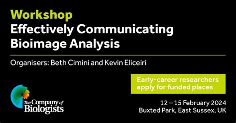 Effectively Communicating Bioimage Analysis Workshop Applications Are