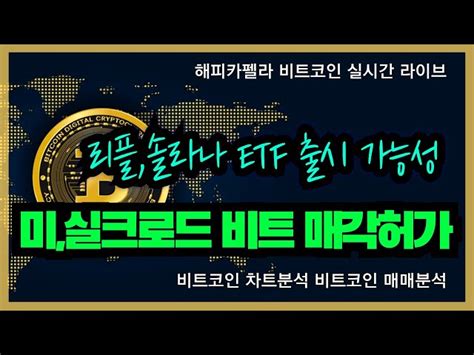 비트코인 실시간 미 법무부 실크로트 비트매각 허가 리플솔라나etf 출시가능성 19 점심💎비트코인 비트코인실시간 이더리움 리플 Cryptocurrency 차트분석