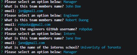 GitHub Robpduo Team Profile Generator