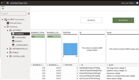 Create A Dataset From A Data Source With Rest Endpoints