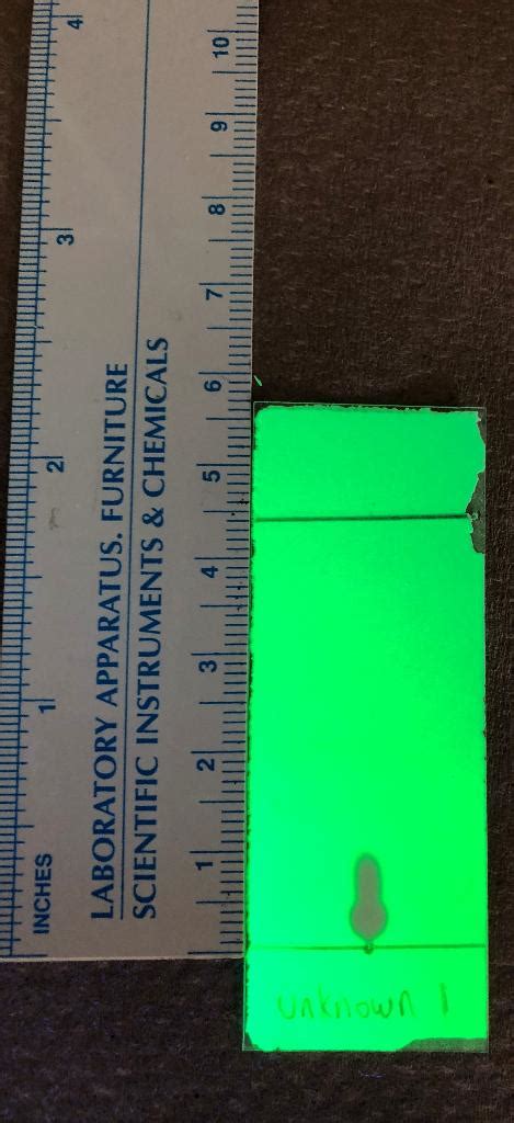 Solved Tiene 113 Report Unknown Name Date Instructor Chegg Com