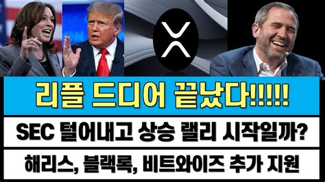 리플 소송 마무리 리플 호재 소식 리플 상장 리플 Ipo 리플 Cbdc 리플 스테이블코인 해리스 암호화폐 지지