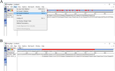 Figure 10 From Protocol To Identify Unknown Flanking Dna Using Partially Overlapping Primer