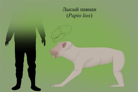 Bot Landfill Hunters 10 Myh By Brainloading On Deviantart