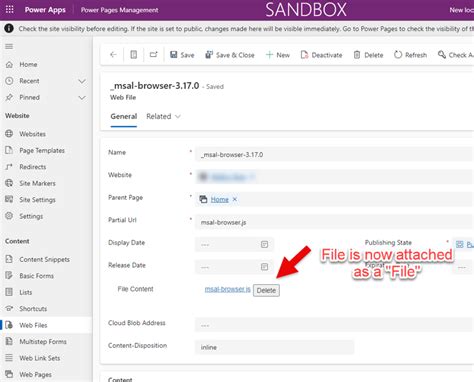 Dynamic Import Of Scrips In Power Pages DEV Community