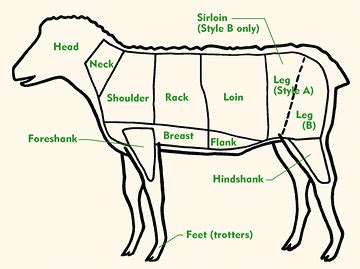 Lamb And Mutton Detailed Information Photos Videos