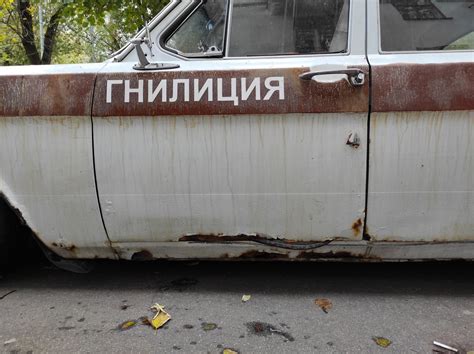 Гнилиция | Пикабу