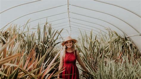 Lugnasad Comment Célébrer Cette Fête Celtique Ancestrale Aujourdhui Lph