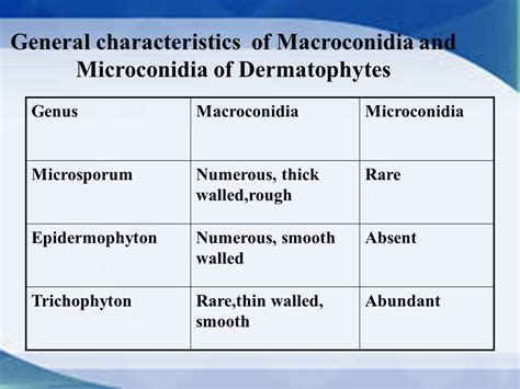Fungi As Human Pathogen Ppt Download