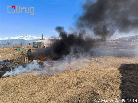 Нийслэлийн ногоон бүсэд аялал зугаалга ууланд алхах зэргийг хориглолоо