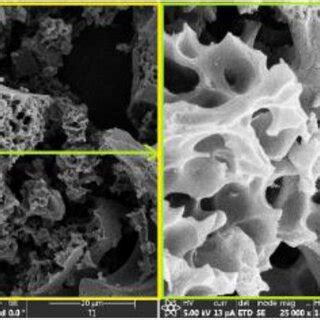 SEM Micrographs And The Specific Surface Area From BET Analysis For Download Scientific