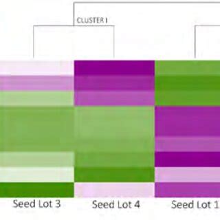 Heatmap Grouping With Physiological Characterization For Four Batches Download Scientific