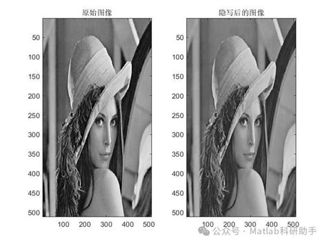 【图像隐写】基于jsteg算法实现jpeg图像信息隐藏，可设置dct系数 嵌入率附matlab代码 Csdn博客