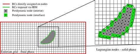 2d Schematics Of The Discretization Of The Fluid Domain Eulerian Grid Download Scientific