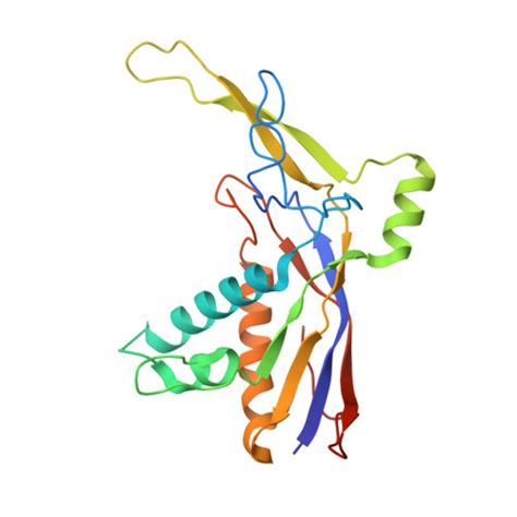 Rcsb Pdb 8do6 The Structure Of S Epidermidis Cas10 Csm Bound To Target Rna
