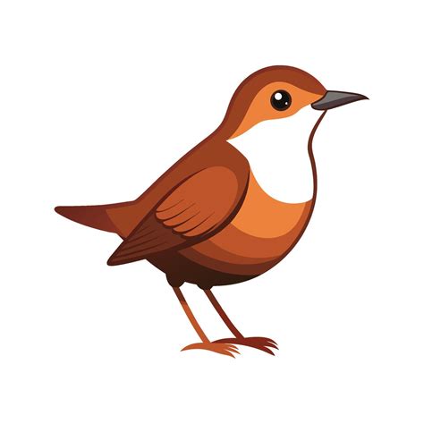 Unique Artwork Of Dipper Bird 58245503 Vector Art At Vecteezy
