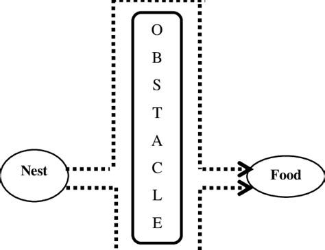 Ants Attempt To Take The Shortest Path After An Initial Searching Time Download Scientific