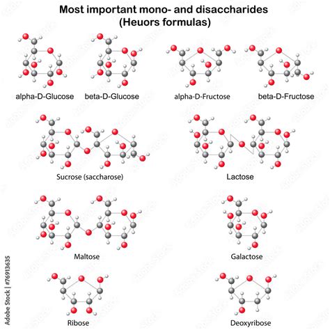 Clipart Chemical Structural Models Of Main Mono And Disaccharides My Xxx Hot Girl