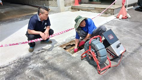 공장 하수구 300관폐수배관 우수배관 고압세척과 나무뿌리제거후 배관내시경검사 부산광역시 강서구 송정동 배관막힘 당근 비즈 소식