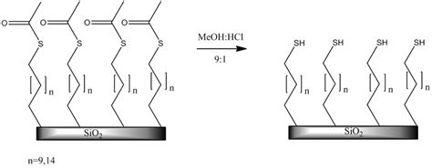 A The Monolayer Forming Molecule Is A Polymethylene Chain Terminated Download Scientific