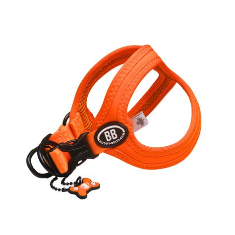 Buddy Belt Sports Harnesses Vibrant Collection