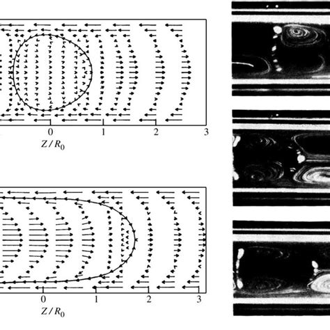 Calculated Velocity Vector Fields Left Diagrams 18 And Experimental