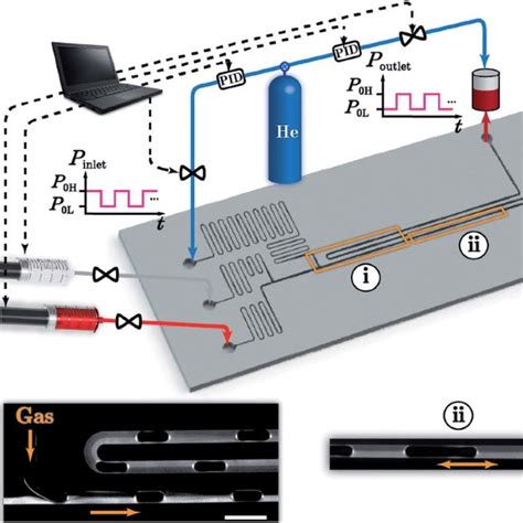 Schematic Illustration Of The Oscillatory Segmented Flow Reaction