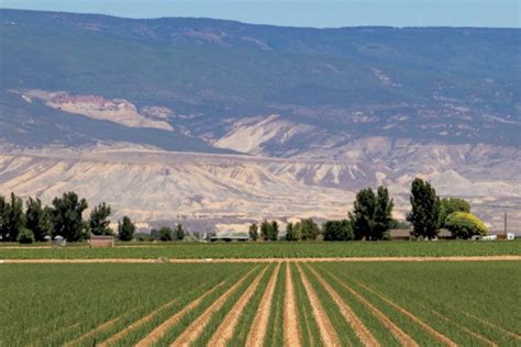 미국의 대평원 그레이트 플레인스 이슈 사건 정치 네모판