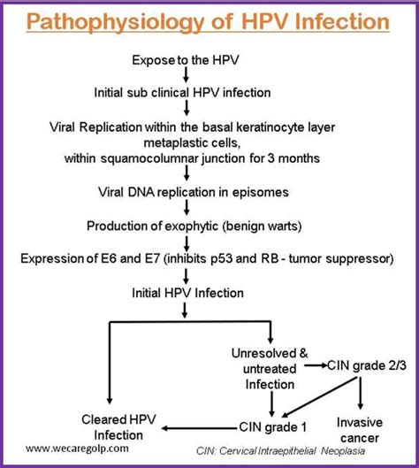 Human Papillomavirus Infection We Care