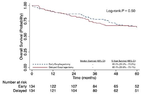 食管切除术对i期和iiiii期食管癌5年生存率的影响医学界 助力医生临床决策和职业成长