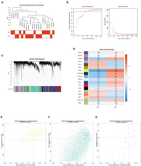 The Results Of Weighted Gene Co Expression Network Analysis Wgcna