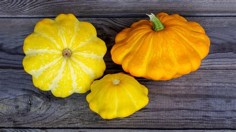 Garden Squash Varieties Fasci Garden