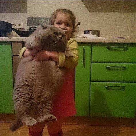 What An Absolute Unit R AbsoluteUnits