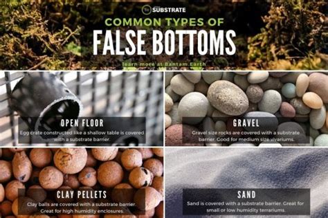 False Bottoms The Definitive Guide To Vivarium Drainage Layers