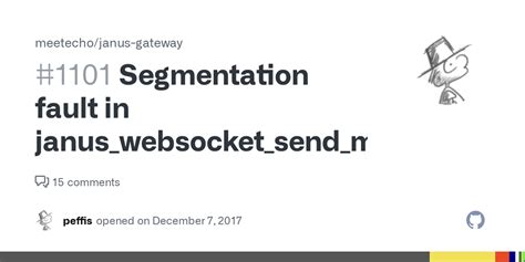 Segmentation Fault In Januswebsocketsendmessage · Issue 1101 · Meetechojanus Gateway · Github