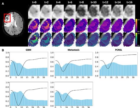 Figure 3 From An Accessible Deep Learning Tool For Voxel Wise