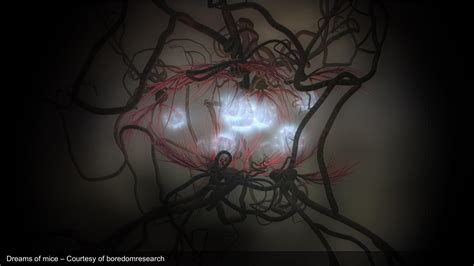 The Art Of Non Deterministic Behaviour