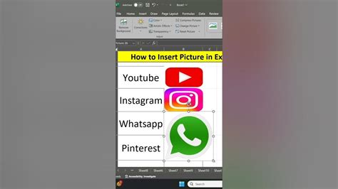 Insert Picture In Microsoft Excel Excelindiaexcel2025exceltips2025