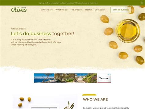 Adaptive And High Quality Landing Page Upwork