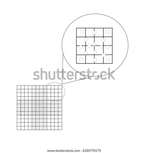 Hemocytometer Grid Photos And Images Shutterstock