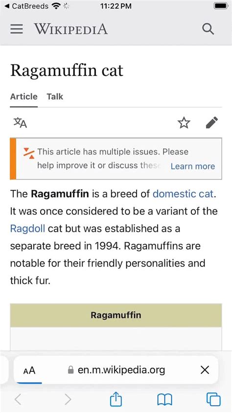 Do Mobile App Development With React Native Expo By Jefersonhez Fiverr