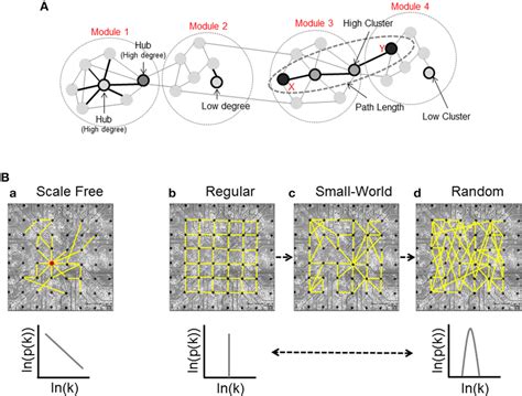 Structural Functional Connectivity Analysis On High Density Hd Mea Download Scientific