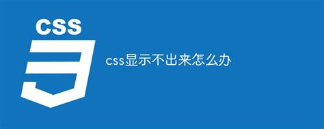 Css样式无法正常显示的解决方式 Css教程 Php中文网 Css样式无法正常显示的解决方式 Css教程 Php中文网