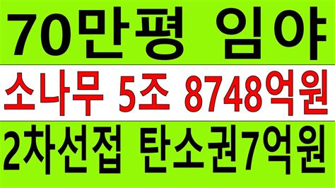20억 공시가82억 시세350억 70만평 대형임야 큰임야 싼임야 2차선접 힐링숲6차산업 숲가치5조8748억원 탄소권7억원 숲경영 땅과함께새희망을경매임야 공매임야 나도