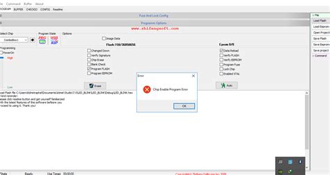 Chip Enable Program Error