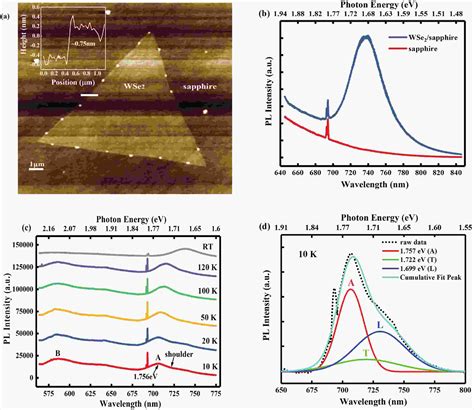 Valley Dynamics Of Different Excitonic States In Monolayer Wse 2 Grown By Molecular Beam Epitaxy