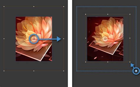 Resize Images To Keep The Aspect Ratio By Rokan Nashp Fiverr