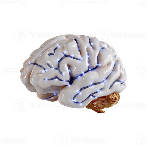 Digital Brain Visualization With Glowing Neural Connections And Pathways 68811270 Png