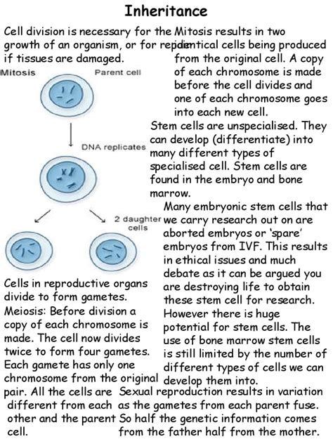 Aqa Additional Biology Gcse Chapter 6 Inheritance Presentation In