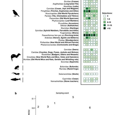 Temporal Trends In Vertebrate Detections A Taxonomic Vertebrate